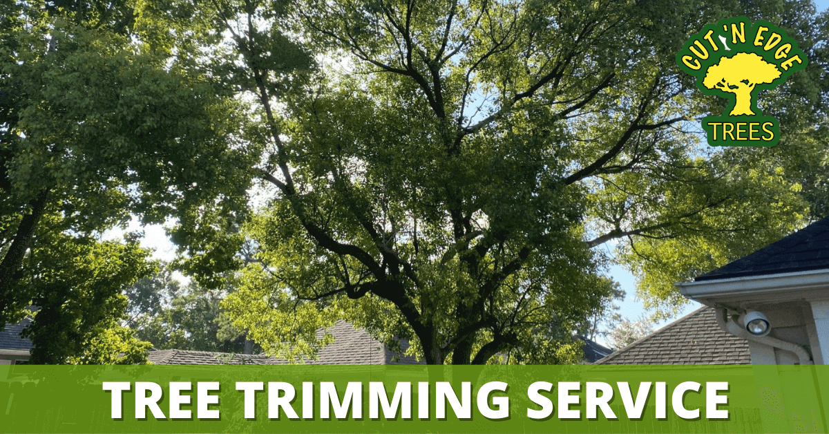 Locations - Cut N’ Edge Trees